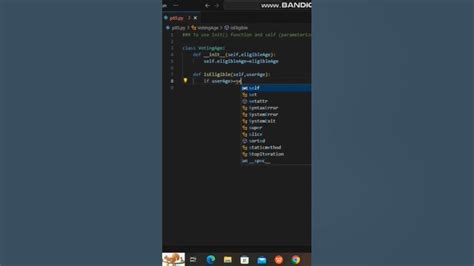 To Use Init Function And Self Parameterized Constructor In Python
