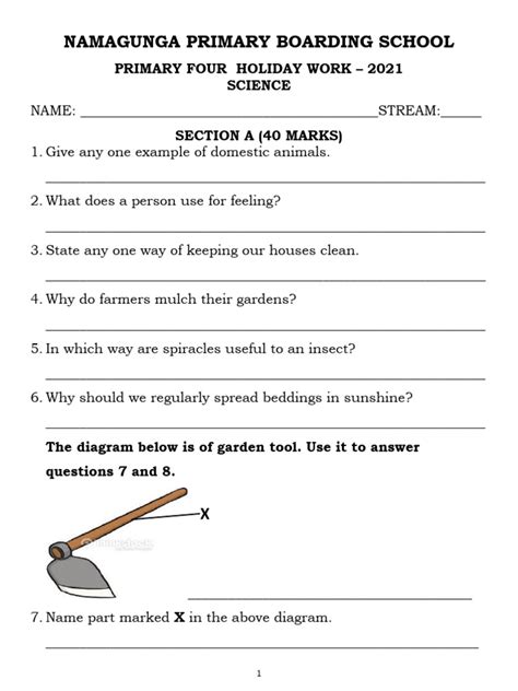 P4 Science Holiday Work 2021 Pdf Flowers Plants