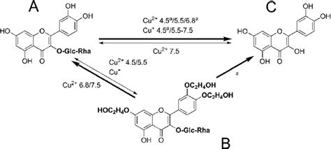 The Effect Of The 3 Hydroxyl Group And Additional Hydroxyl Groups In Download Scientific