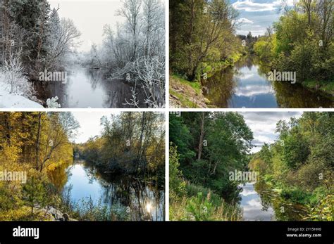 Beautiful Collage Of 4 Seasons Year Round Different Pictures But Same