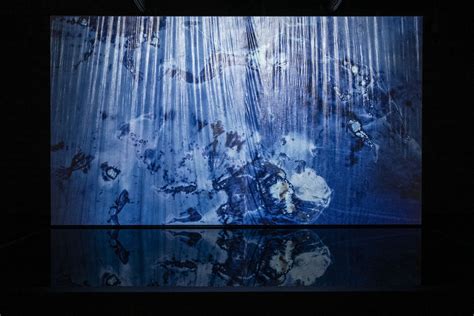 Cassils Movement Banff Centre For Arts And Creativity