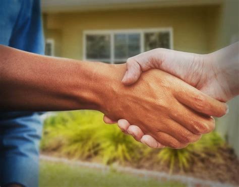 Protect Your Home The Ultimate Guide To Termite Control In Central