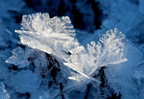 Frost