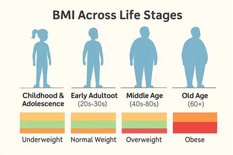 Bmi And Age Whats Normal At Every Life Stage Elegant Hoopoe