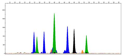 A Sample Peak Electropherogram Download Scientific Diagram