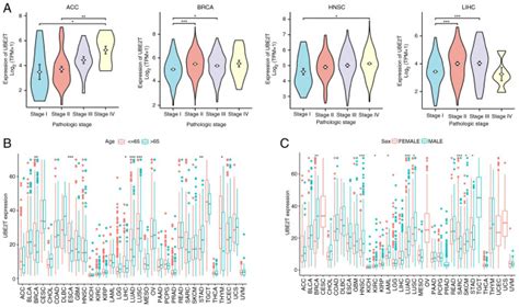 Comprehensive Pan Cancer Analysis Reveals Ubiquitin Conjugating Enzyme