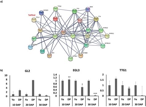 Interaction Network Analysis And Gene Expression Of Related Interacting