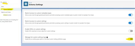 Custom Settings In Salesforce Unleashing The Power Of Custom Settings