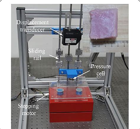 Compression Device And Specimen Download Scientific Diagram