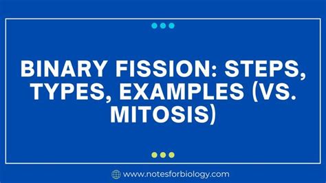 Binary Fission Steps Types Examples Vs Mitosis Di 2024