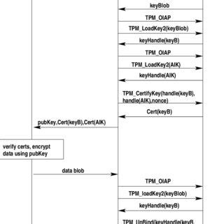 MSC Visualising A Sequence Of TPM Commands Download Scientific Diagram