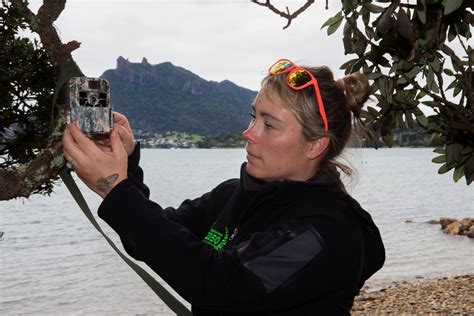 Embedded Research Expressions Of Interest Sought Predator Free 2050 Limited Predator Free