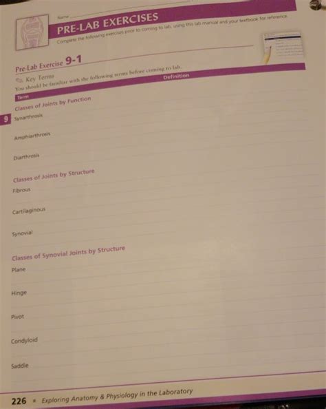 Lab Objectivesweek 7docx Exercise 11 Articulations And Body