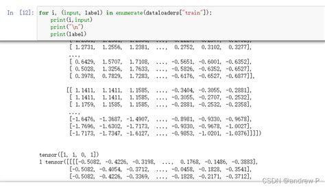 Pytorch模型预测pytorch预测模型 Csdn博客