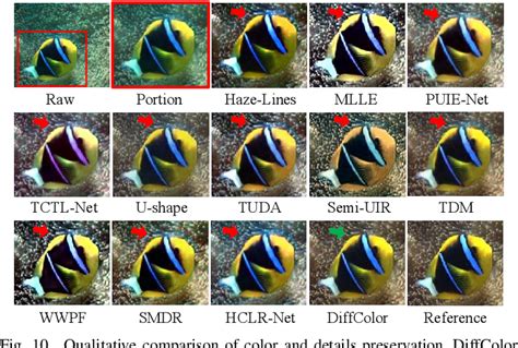 Color Correction Meets Cross Spectral Refinement A Distribution Aware