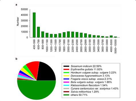 Sequence Length Distribution And The Distribution Ratio Of Species With