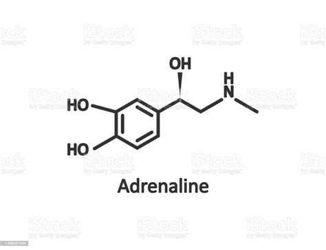 아드레날린 아이콘의 분자식 분자 에피네프린 기호의 구조 충격 벡터 동안 방출되는 징후 물질 분자에 대한 스톡 벡터 아트 및 기타 이미지 Istock