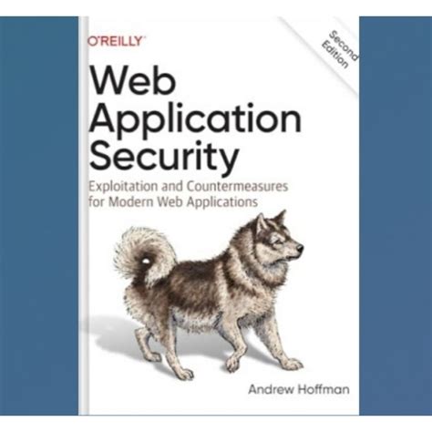 Web Application Security Book Explosion And Countermeasures For Modern