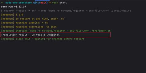 Translate Texts In Node Js With Amazon Translate