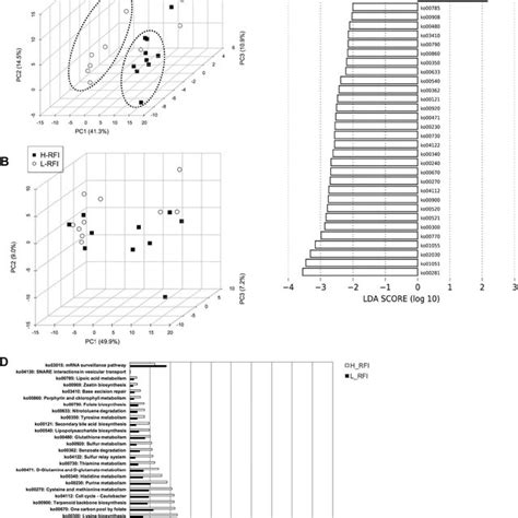Differential Rumen Microbial Metabolic Pathways And Carbohydrate Active Download Scientific