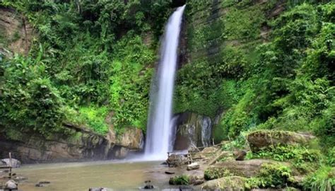 lara creative script php laravel news script