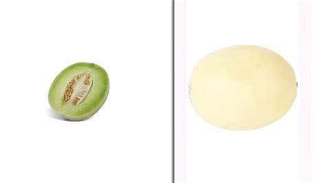 Melon | Vidtionary: A Video Dictionary