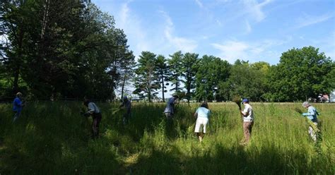 Flax 101 Class Photos