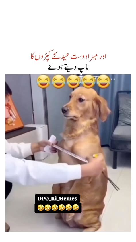 DPO_ki_Memes | Tag your Friends 🤣🤣 | Instagram