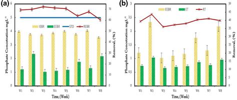 A Influent Effluent And Removal Of Phosphate In Ebr Download Scientific Diagram