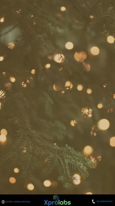 xprolabs on linkedin cheerstosuccess newyearjourney communitywins