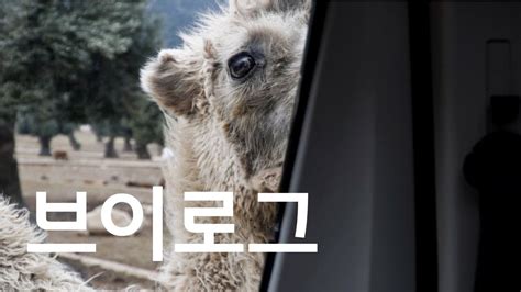 이탈리아 캠핑카 여행 브이로그 03 남부 마지막 편 Youtube