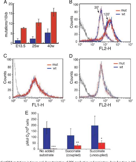 Figure 1 From Somatic Mtdna Mutations Cause Aging Phenotypes Without