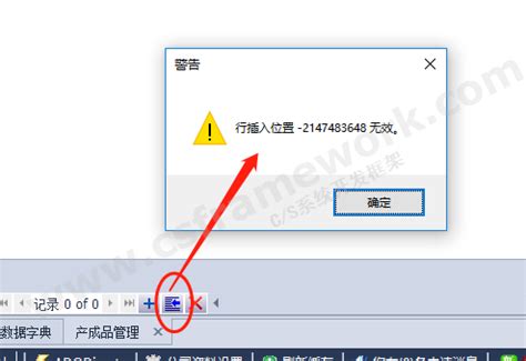 明细表插入记录Insert报错 行插入位置 无效 C S框架网