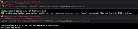 error downloading geo · issue 631 · pulsejet memories · github