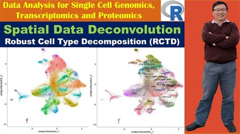 Spatial Data Deconvolution Using Robust Cell Type Decomposition Rctd