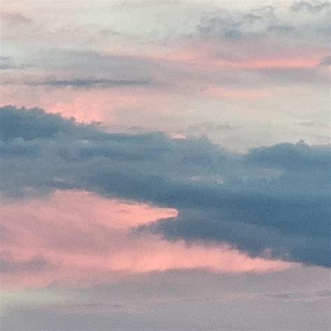 თერგდალეულები ბრიანსკიდან Facebook