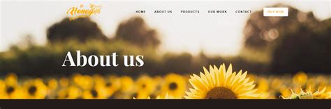 header image — betheme support forum