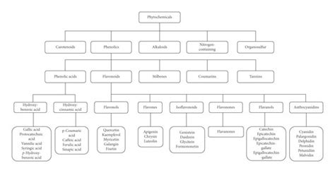 Classification Of Phytochemicals Adapted From 15 Download