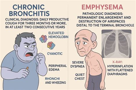 Bronchitis Vs Emphysema Both Are Forms Of Copd But Differ In Pathology —… Dr Anagha Worlikar