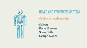 The CPB Exam For Billing And Coding Certification