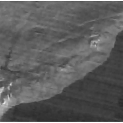 The Output Of The Dct Based Filter Download Scientific Diagram