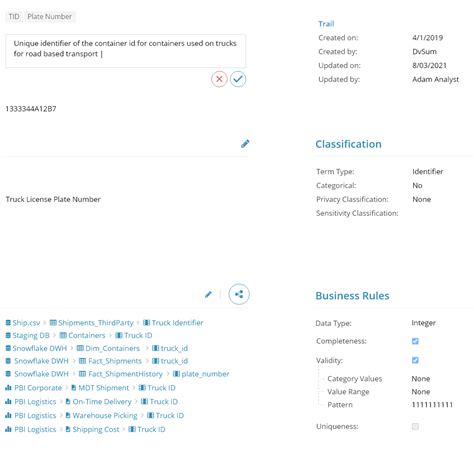 Automated Data Quality Checks And Data Observability Dvsum