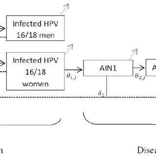 Flow Diagram Schematic Representation Of The Dynamic Model Download Scientific Diagram