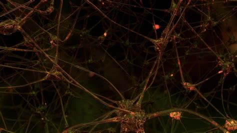 Premium Photo 3d Rendering Of Artificial Intelligence With Artificial