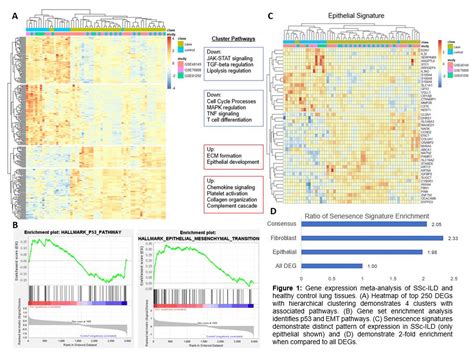 Gene Expression Meta Analysis Reveals Aging And Cellular Senescence Signatures In Scleroderma