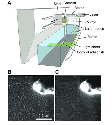 Flow Visualization By Particle Image Velocimetry Piv A A Schematic
