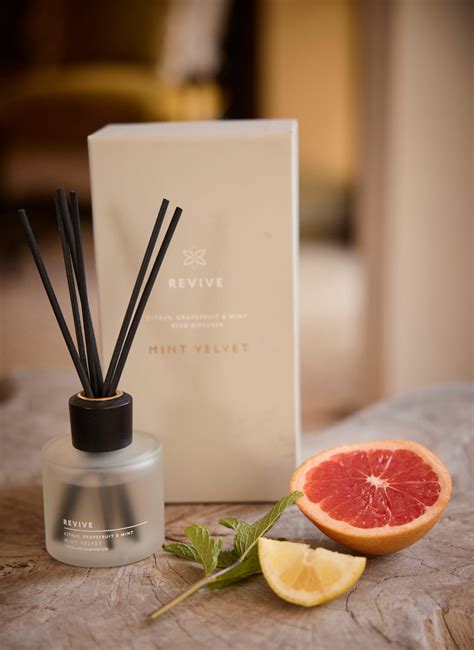 Revive Citrus And Mint Diffuser Mint Velvet