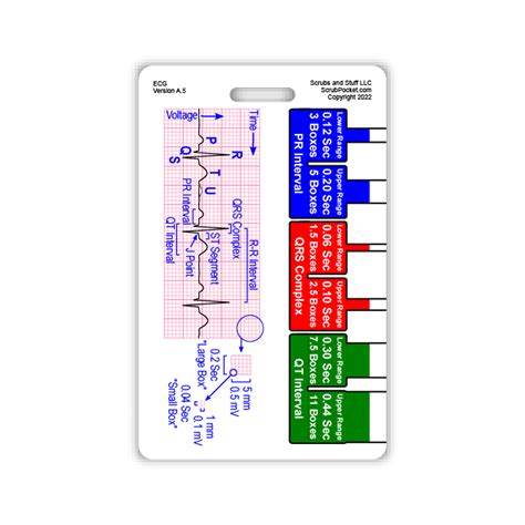 Esi Algorithm And Details Definitions 8 5x11 Laminated Page Scrub Pocket