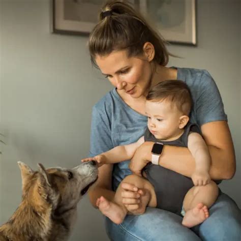 Strain Tracking And Its Value In Personalized Microbiome Health