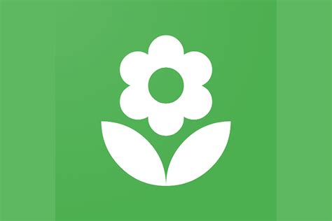 GitHub Wisespira Atresia